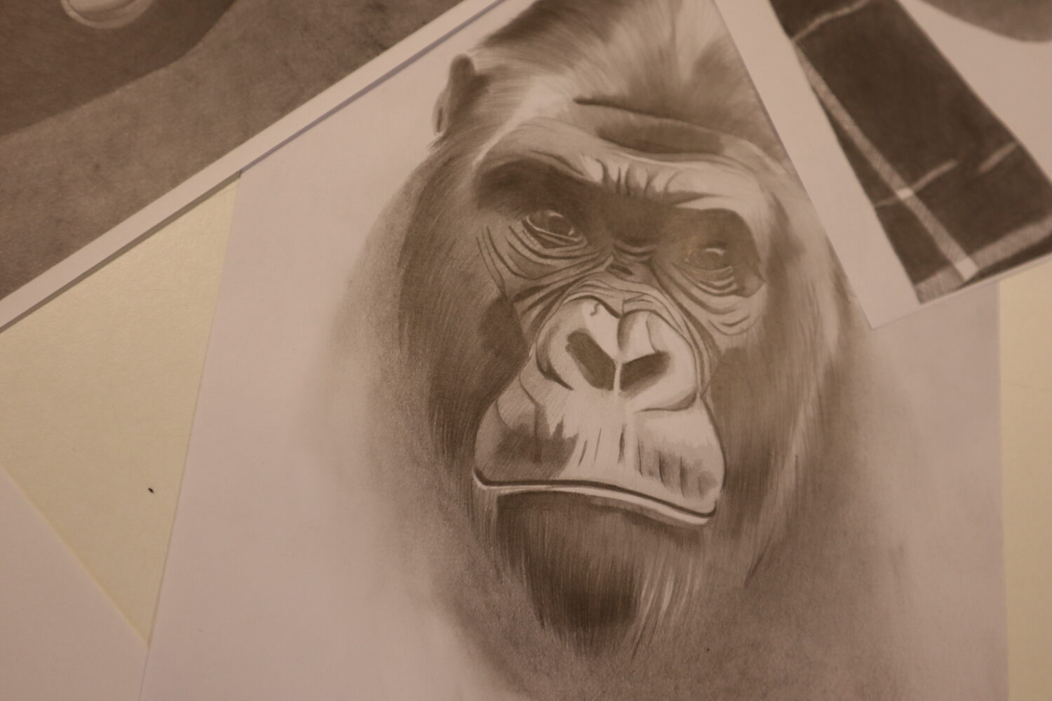 Exposition de dessins au crayon par Killian Guirault - Ville de ...